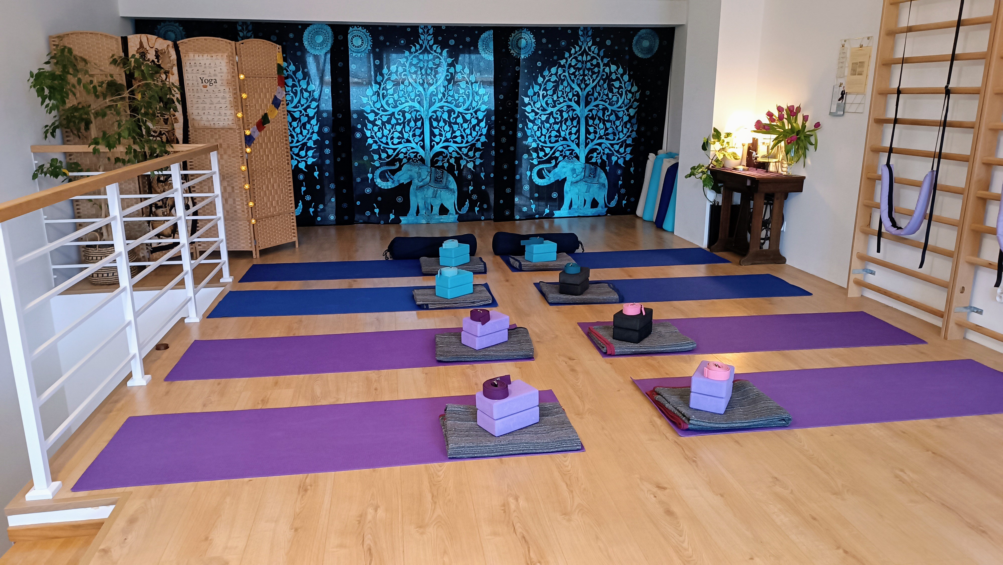 Chinchilla Joga – Studio Jogi w Gdańsku